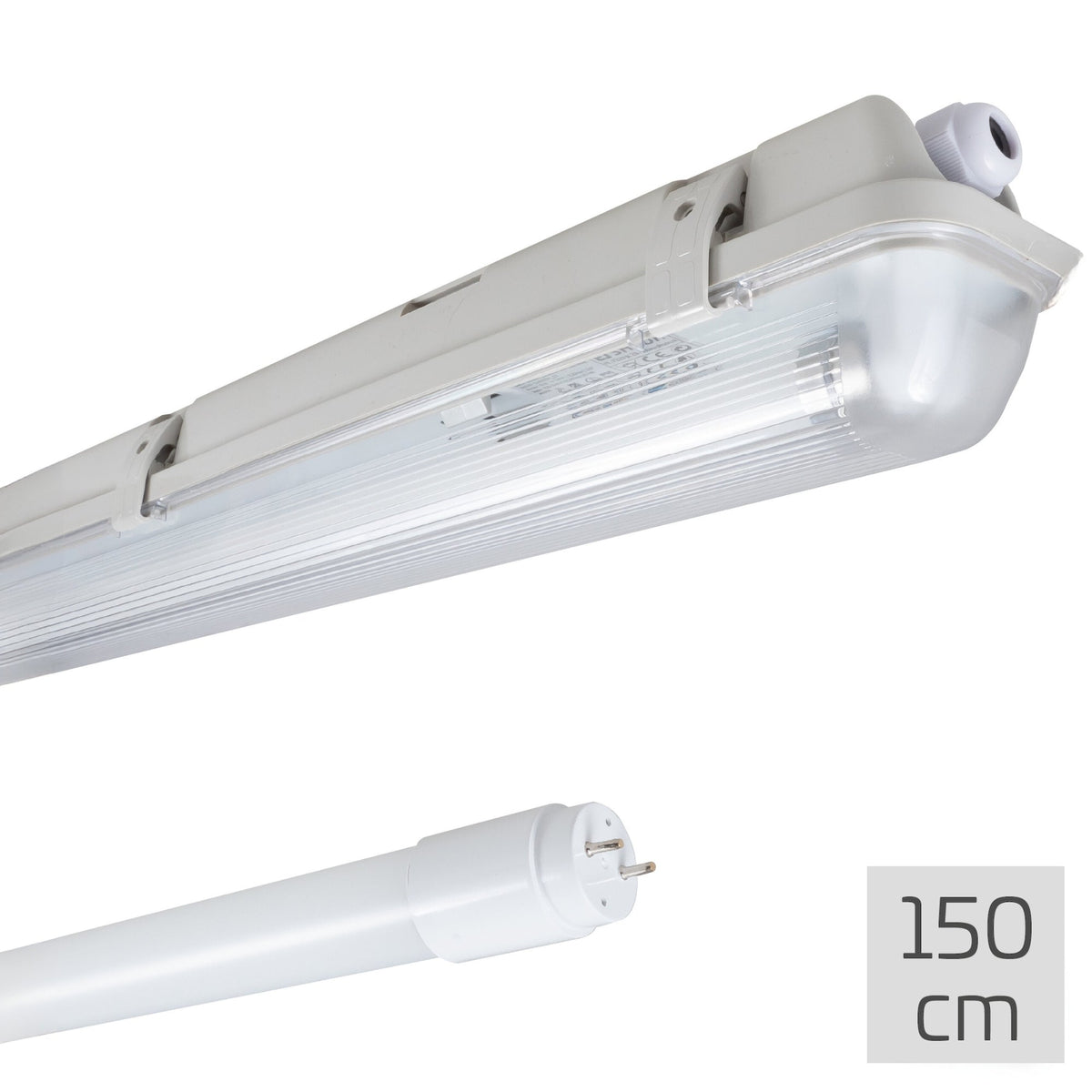 Möchten Sie eine komplette LED-Leuchtstofflampe 150 cm inkl. LED-Leuchtstoffröhre kaufen? - LED.nl
